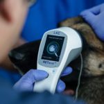 RETevet | Handheld Animal Electroretinography Testing