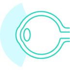 Full-Field (ERG) Electroretinography - LKC Technologies